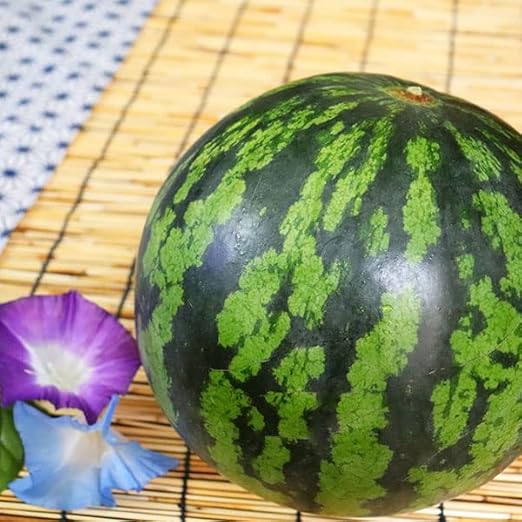 Amazon | 熊本産 夢大地 すいか 訳あり 2Lサイズ 7kg 1玉入 スイカ 熊本県産西瓜 母の日 父の日 プレゼント フルーツ 果物 お中元・ギフト・すいかギフト・ 小玉西瓜 ...