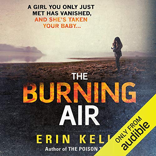 The Burning Air (Audio Download): Erin Kelly, Candida Gubbins, Audible ...