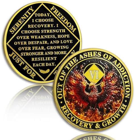 Amazon.com: Phoenix 7 Year Sobriety Coin Flame Seven Year Sobriety Chip ...