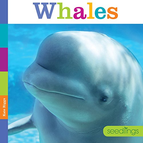 Seedlings: Whales: Riggs, Kate: 9781628321173: Amazon.com: Books