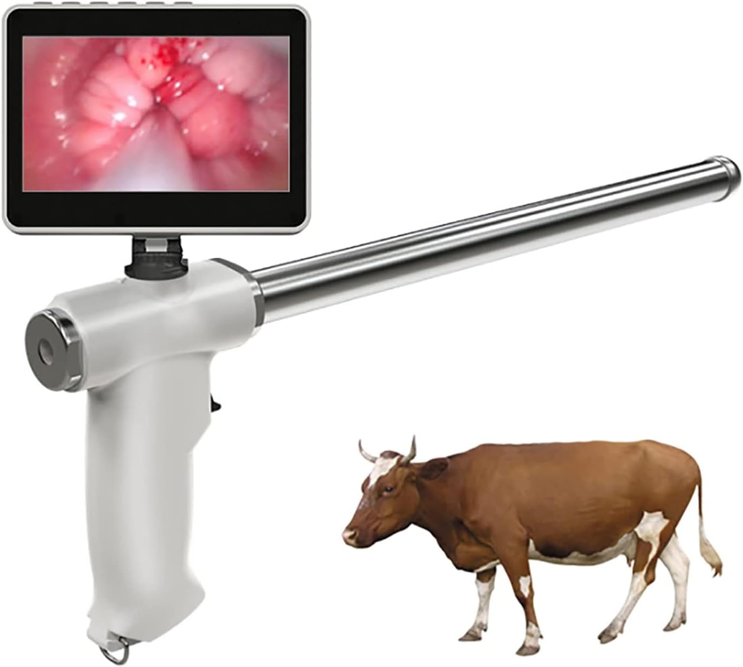 Amazon.com: Professional Visual Insemination Gun, Animal Artificial Insemination Tools W/Screen ...