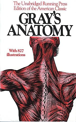 Buy GRAY'S ANATOMY Book Online at Low Prices in India | GRAY'S ANATOMY ...