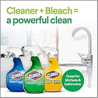 Amazon.com : Clorox Company Clorox Clean-Up All Purpose Cleaner Spray ...