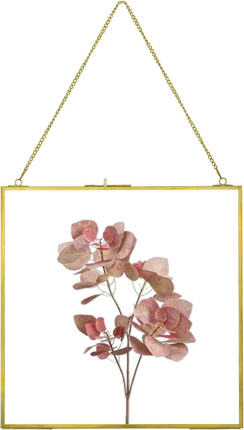 Amazon.com - Pressed Flower Frame, Hanging Picture Frame for DIY ...