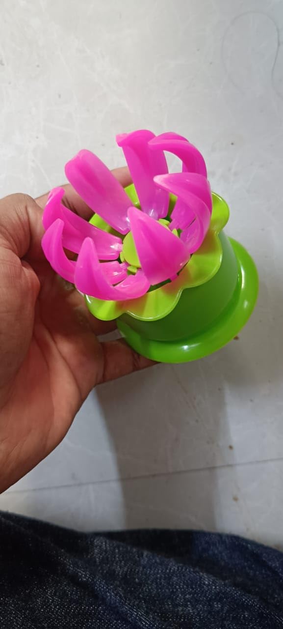 Buy MacMoon | Momos Maker Mold | Momo Maker | Shapes Plastic Dumpling ...