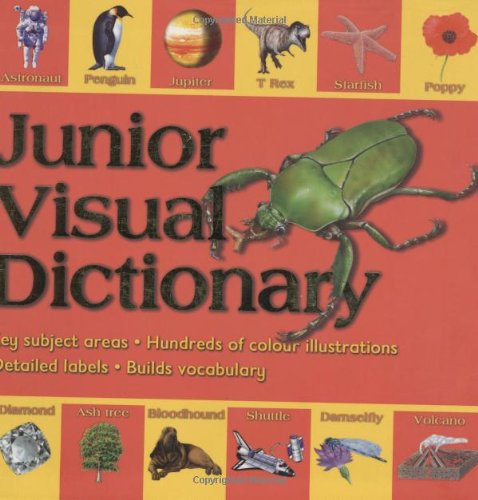 Junior Visual Dictionary: Belinda Gallagher: 9781842368978: Amazon.com: Books