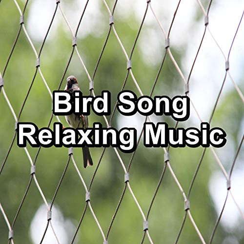 Bird Song Relaxing Music by Singing Birds & Bird Songs & Animal and ...