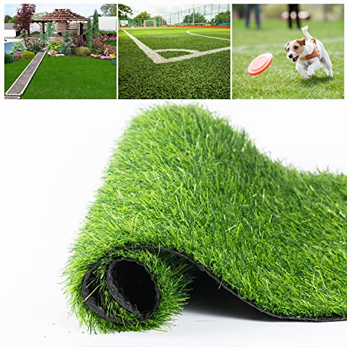 Amazon.co.uk Best Sellers: The most popular items in Grass