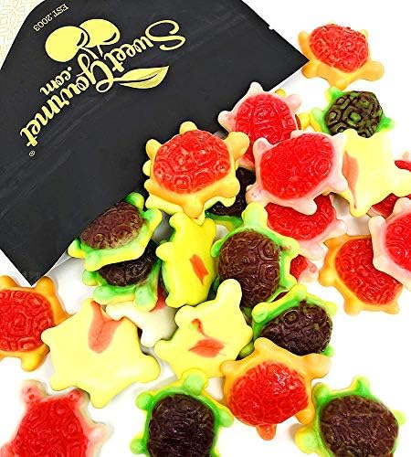 Amazon.com : SweetGourmet Jelly Filled Gummy Turtles, Bulk Candy ...