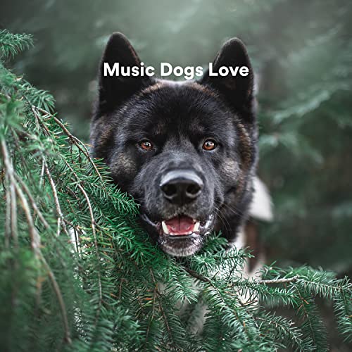 Amazon MusicでSoothing Dog Sounds, Sounds Dogs Love & Dog Calming Musicの ...