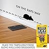 Amazon.com : Harris Rat Glue Traps, Fully Disposable (2-Pack) : Patio ...