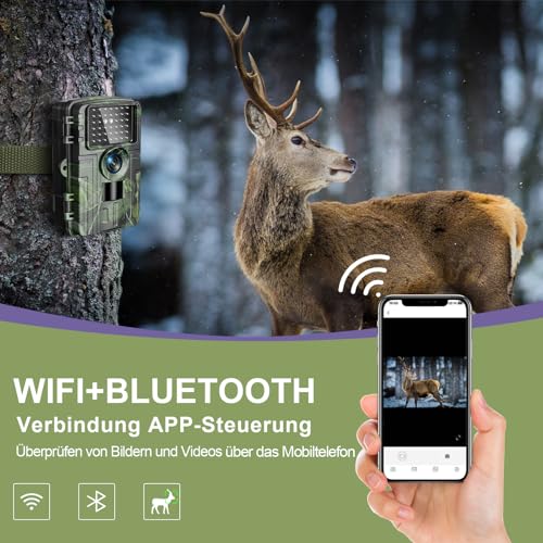 Lutranstra Wildkamera PR5000-WF Test 2026