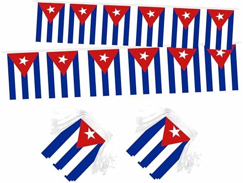 Amazon.com : LUSEOAN 2 Packs Colombia Colombian Mini Flag Banner String ...