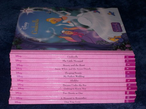 DISNEY PRINCESS STORYBOOK LIBRARY SET/12 VOLUMES OF LITTLE HARDCOVER ...
