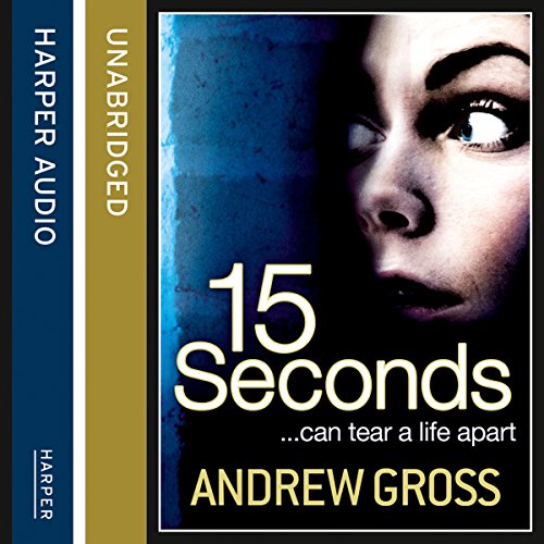 Amazon.com: 15 Seconds (Audible Audio Edition): Andrew Gross, Christian ...