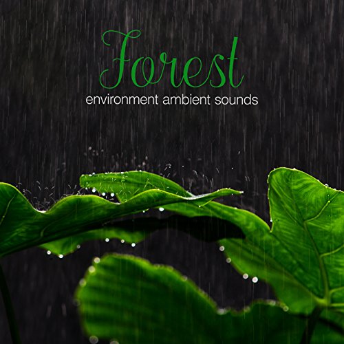 Amazon.co.jp: Forest Environment: Ambient Sounds : Forest Soundscapes ...