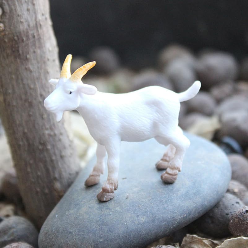 Micro Mini Goat
