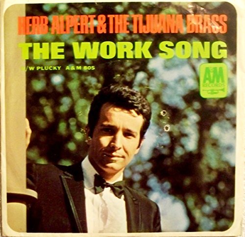 Amazon.com: The Work Song: CDs & Vinyl