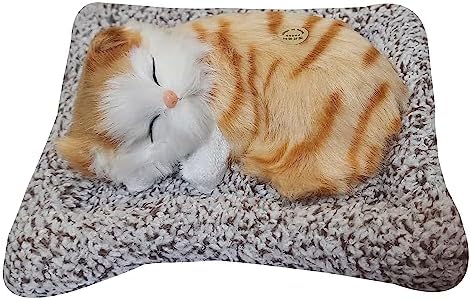 Buy Himaja Soft Toys | Ultra Soft Cute Cat with Matt | Gift for Boys ...