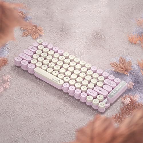 Amazon.com: Laetass Skeleton Punkston Wireless Keyboard, Bluetooth/2.4G ...