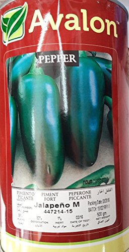 Avalon USA, Original Seeds Pack Jalapeno Chilli (Pickle Chilli) Variety ...
