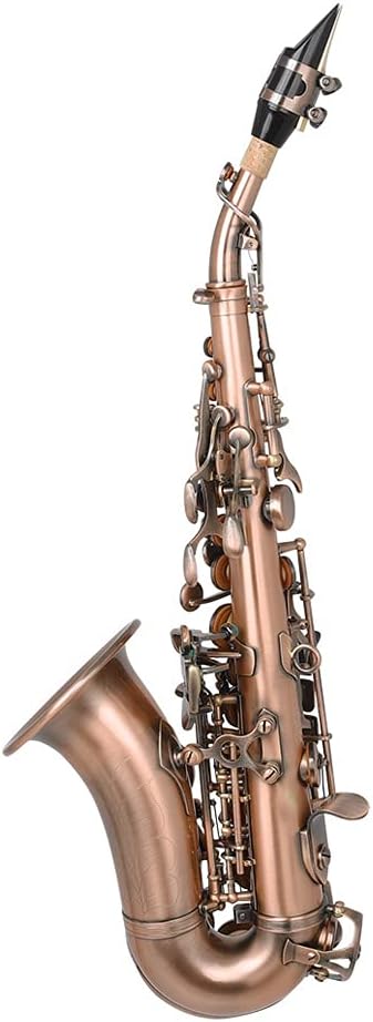 Curved Saxophone, Saxophone, Tuba Instrument, B Flat With Carrying Case ...