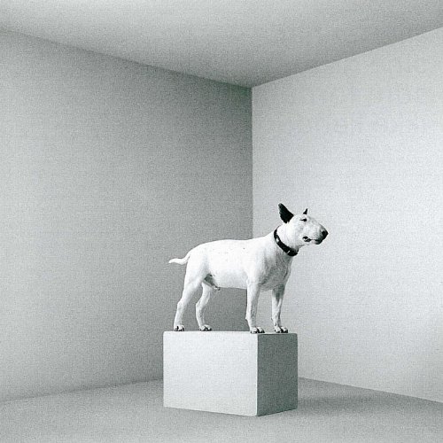 Amazon.com: Inskription [Clean] : Martin Hall: Digital Music