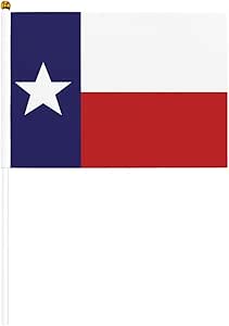 Amazon.com : State-Of-Texas-Flag Handheld Flag Small Mini Flag Hand ...