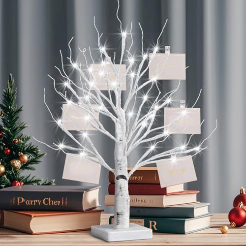 Amazon.com: Money Tree, Birch Tree with Lights, 2FT 24LED Gift Card ...