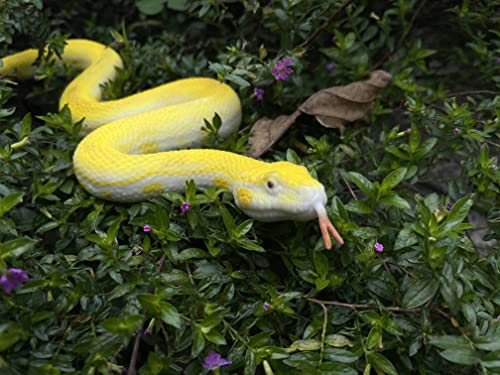 Snapklik.com : HOHAJIU Fake Snake Toy Realistic Rubber Snake Toy 14.5 ...