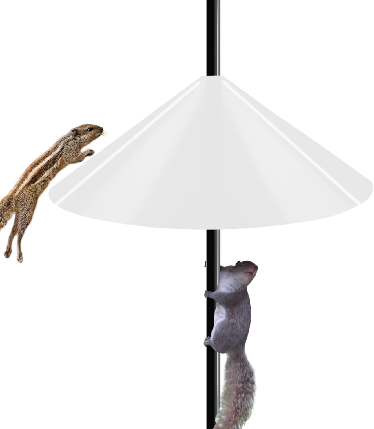 Amazon.com : ARefugen 2 Pack Clear Squirrel Baffle for Bird Feeder Pole ...