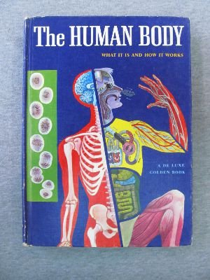 The Human Body: What It is and How It Works: wilson, mitchell: Amazon ...