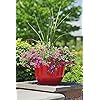 Amazon.com : Garden Elements Indoor/Outdoor Glazed Brushed Happy ...
