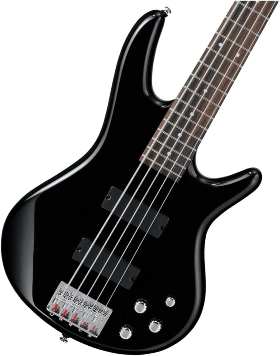 Amazon.com: Ibanez SR306EB 6 String Electric Bass Weathered Black ...