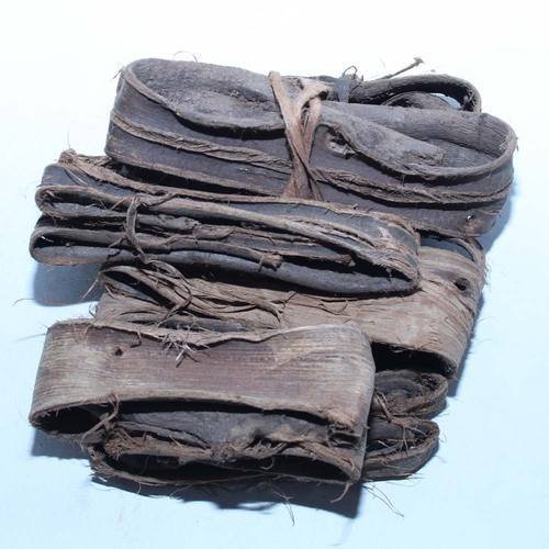 Urancia® Dandasa Juglans Walnut Tree Peel Datun 100g : Amazon.in ...