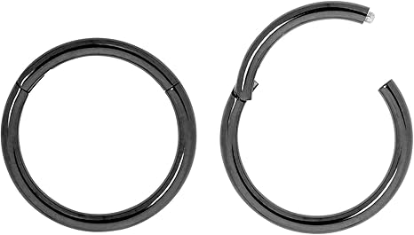 Amazon.com: 365 Sleepers 2 Pcs G23 Titanium 20G (Very Thin) Hinged Hoop ...