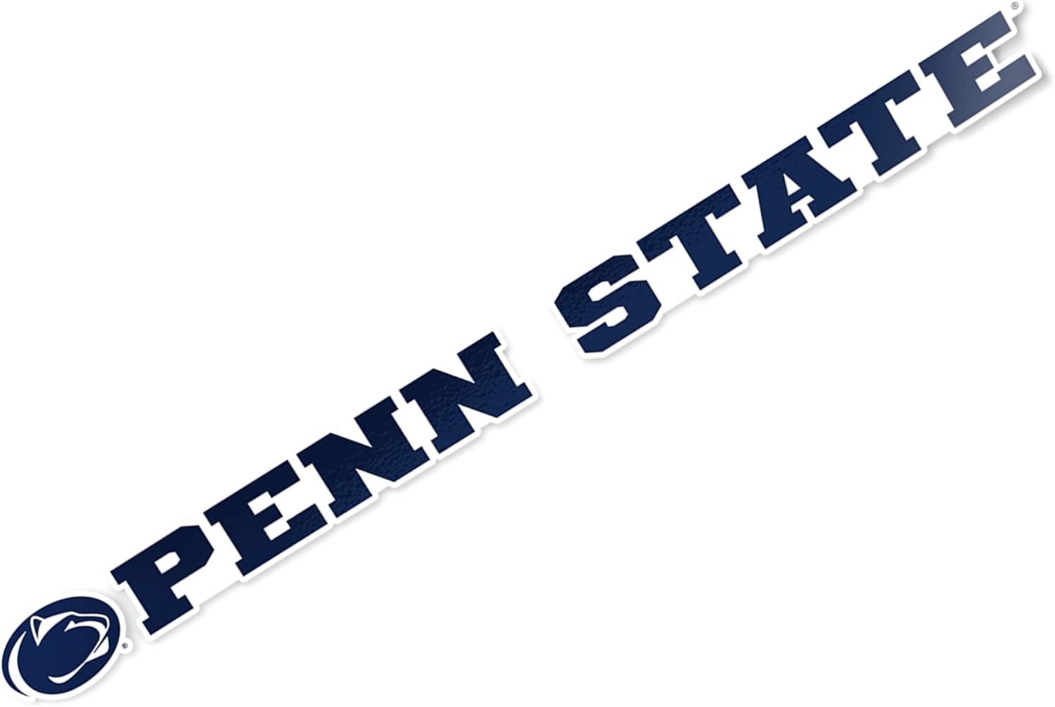 Amazon.com: Desert Cactus The Pennsylvania State University Penn State ...