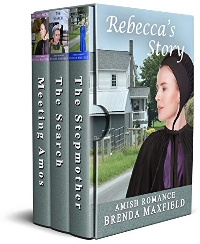 Rebecca's Story - Kindle edition by Maxfield, Brenda. Religion ...