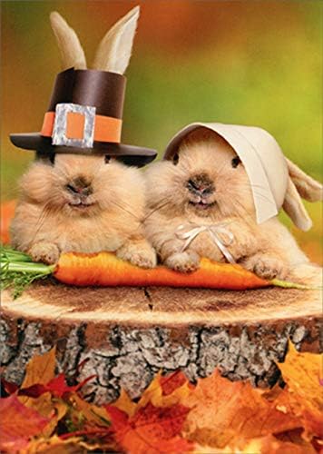 Amazon.com : Avanti Press 2 Pilgrim Rabbits on Tree Stump Thanksgiving ...