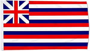 Amazon.com : Fyon Ensign of the Brig Lexington 1776 flag banner with 2 ...