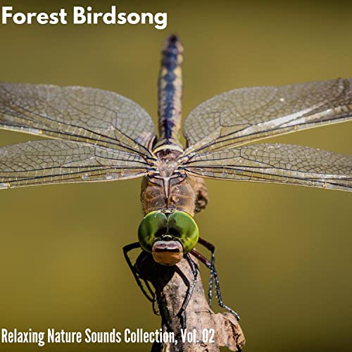 Forest Birdsong - Relaxing Nature Sounds Collection, Vol. 02 by VARIOUS ...
