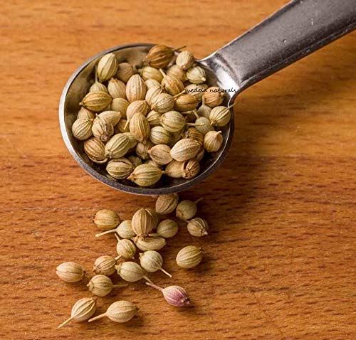 VÉDELA Naturals -Coriander Seeds Whole( Dhaniya Seeds ) | Sabut Dhania ...