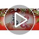 Amazon.com: 500PCS Christmas Stickers Roll 1.5 in Envelope Seals Round ...