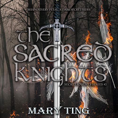 Amazon.com: The Sacred Knights: Secret Knights, Book 3 (Audible Audio ...