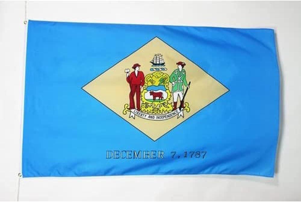 Amazon.com : AZ FLAG - Delaware Flag - 2x3 Ft - 100D Polyester Us State ...