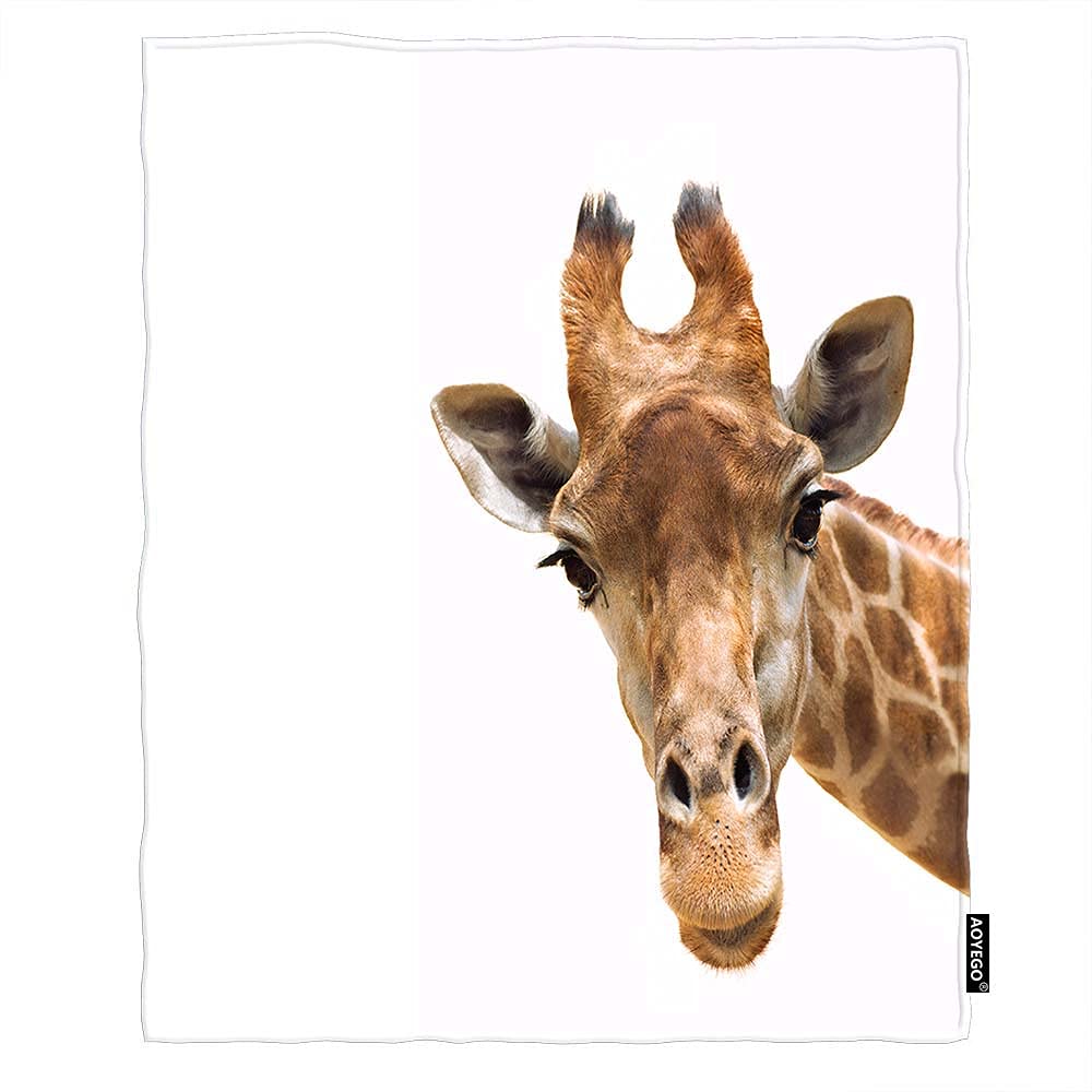 Giraffe Head And Neck