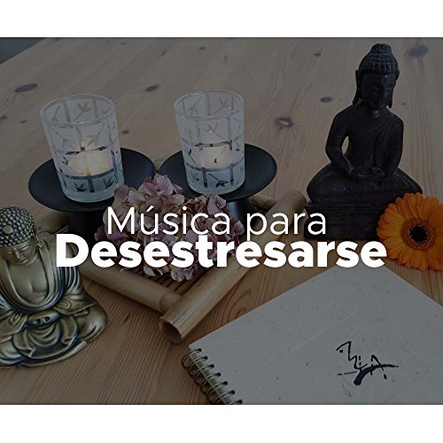 Amazon.com: Musica para Desestresarse - Musica Relajante para Dormir ...
