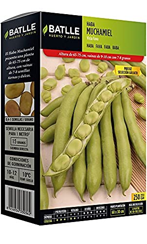 Cultivo de Habas ¿Cuándo se siembran? ⋆ Cultivar mi Huerto