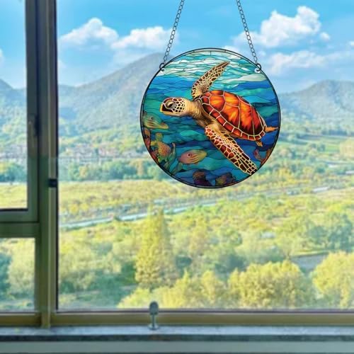 Amazon.com: WOHAHA Universe Goddess Earth Sun Moon Acrylic Window ...