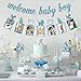 Amazon.com: Baby Shower Decorations for Boy - Welcome Baby Boy Banner ...